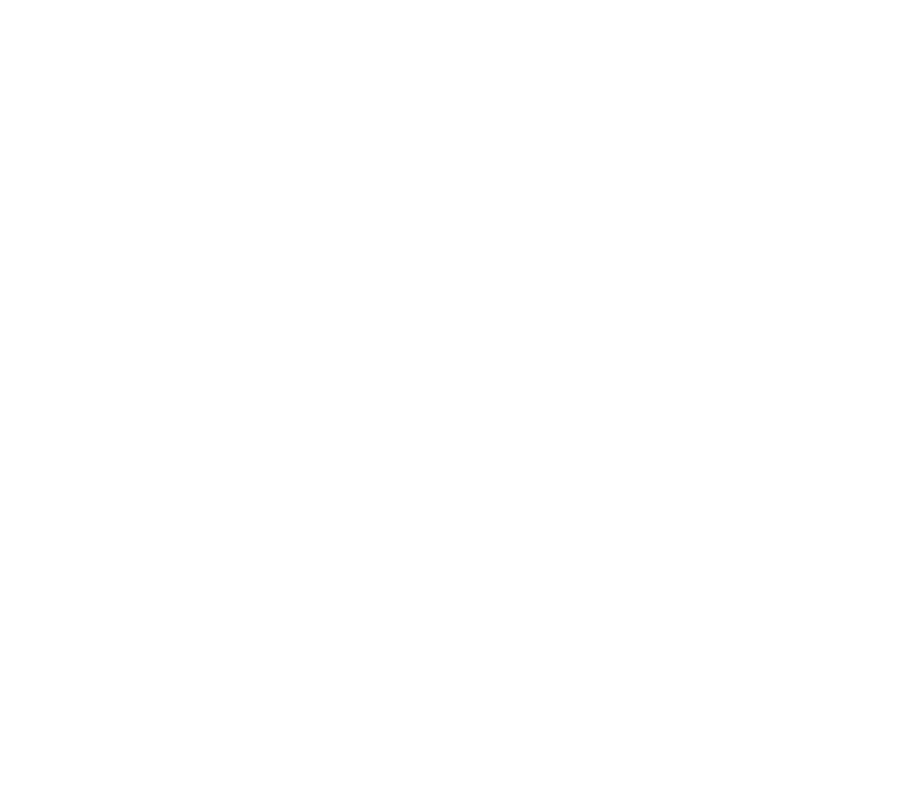 Netbridge - Specialist Network Integrators